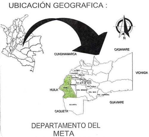 Region del meta